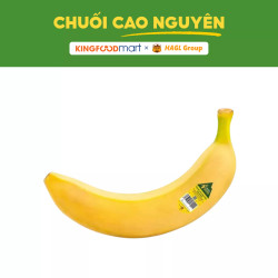 Chuối Bolaven trái 170g up (1 Trái)